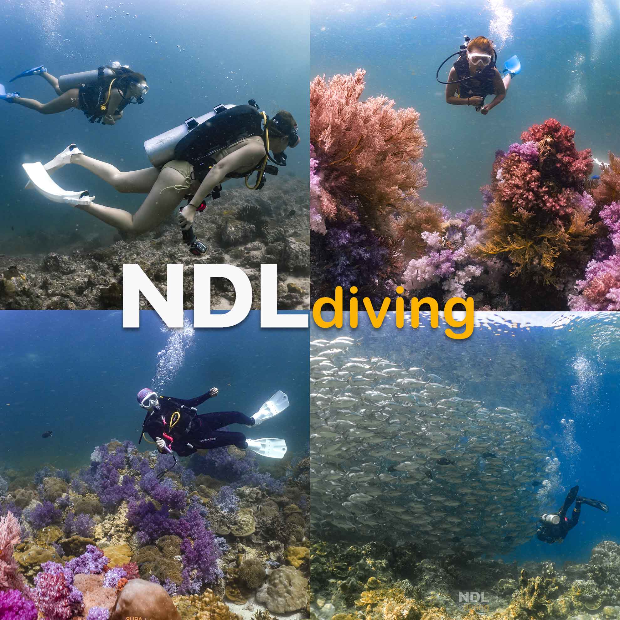 เรียนดำน้ำ ฟรีไดฟ์ ดำน้ำลึกSCUBA อย่างถูกต้อง ปลอดภัย ได้รูปสวย